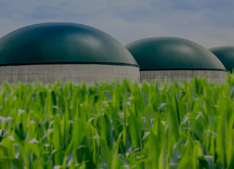 Case Studies - Cotmac - Efficient Always